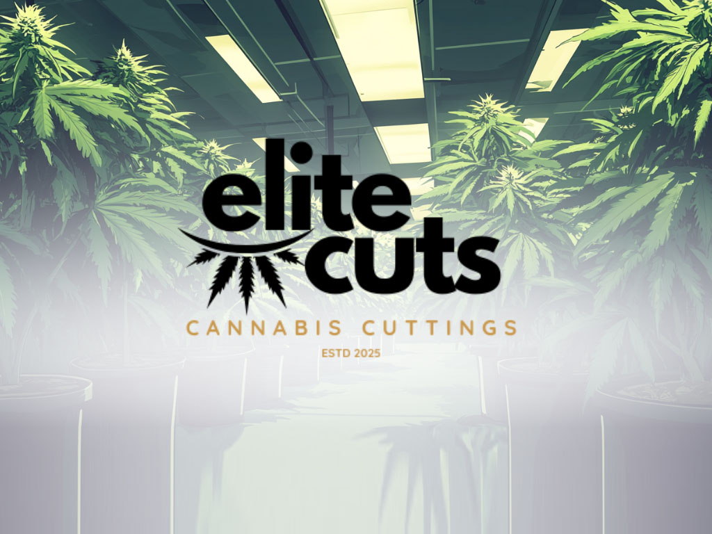 Elite Cuts - Cannafair – Die Hanfmesse im Herzen Deutschlands